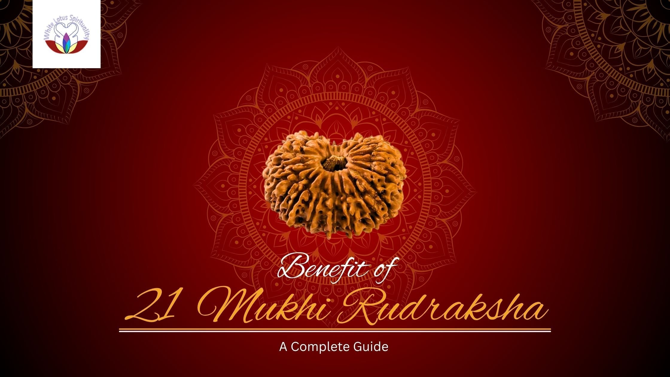 Benefits of Wearing 21 Mukhi Rudraksha: A Complete Guide – Santosh Sharmaa